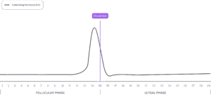 How Long Does LH Stay Elevated After Ovulation? Tracking Advice