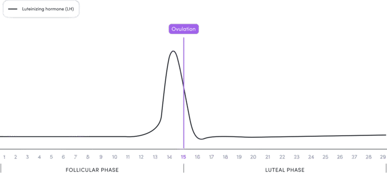 How Long Does LH Stay Elevated After Ovulation? Tracking Advice